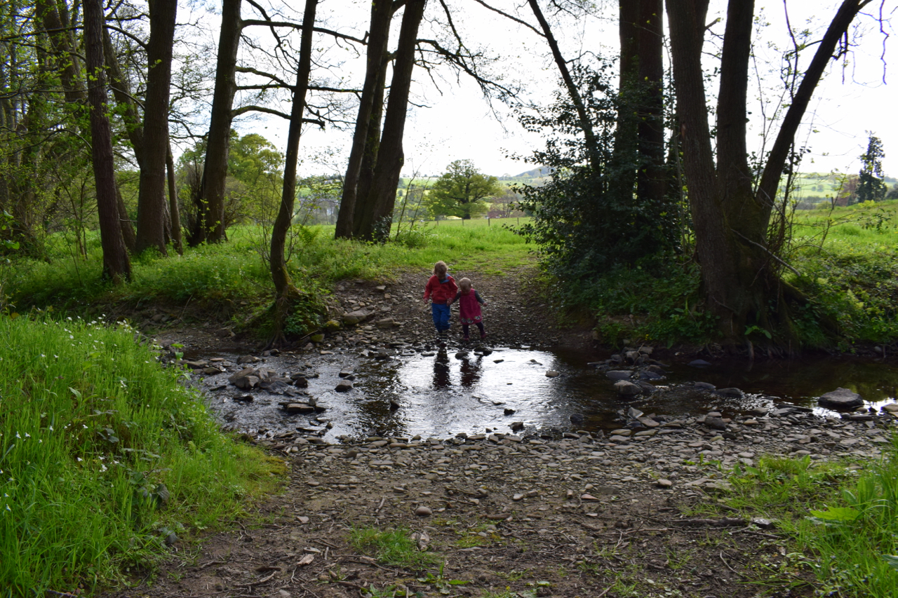 Playing in the brook - Redwood Valley
