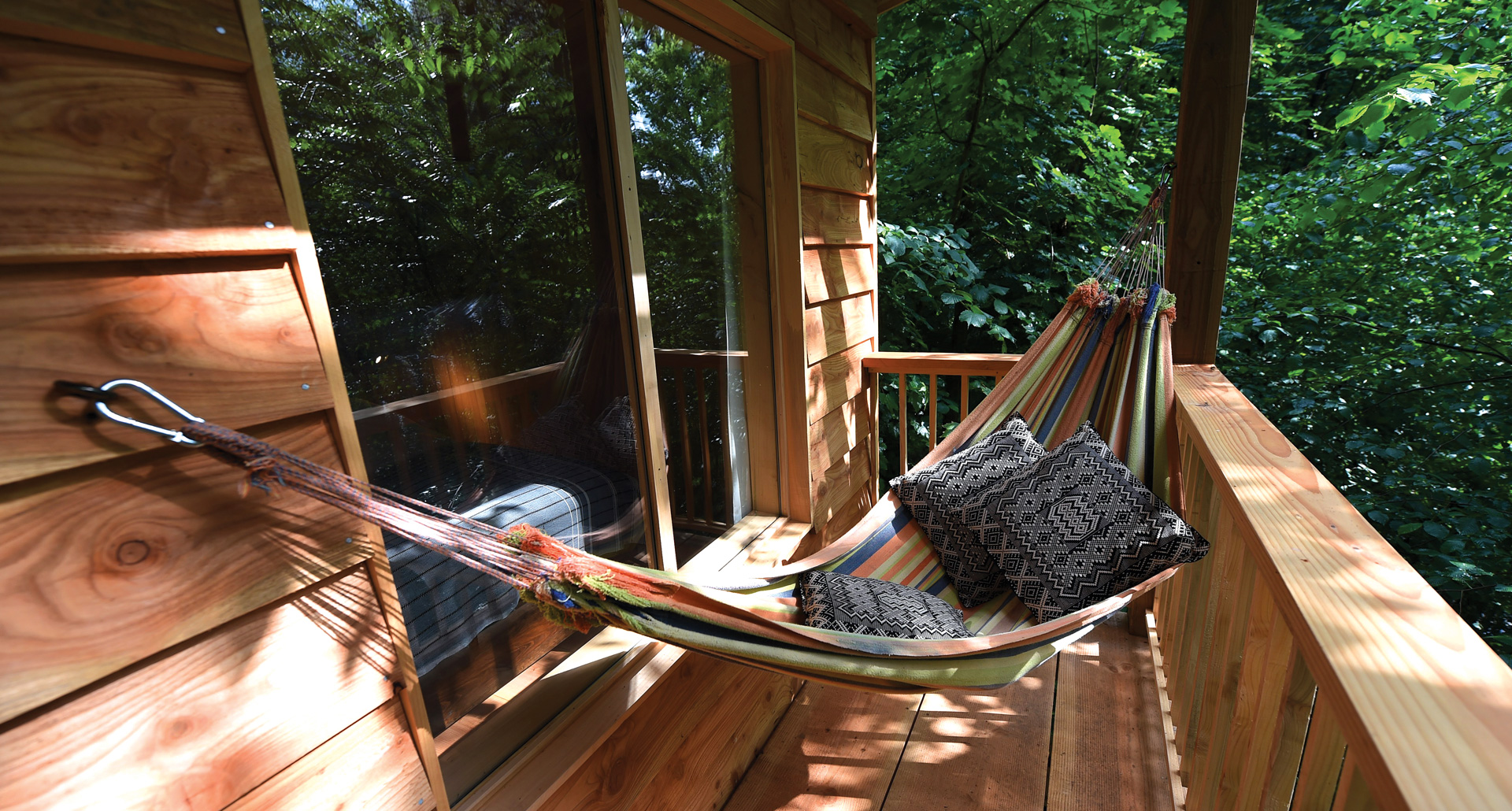 Treetop_Cabin_hammock - Redwood Valley